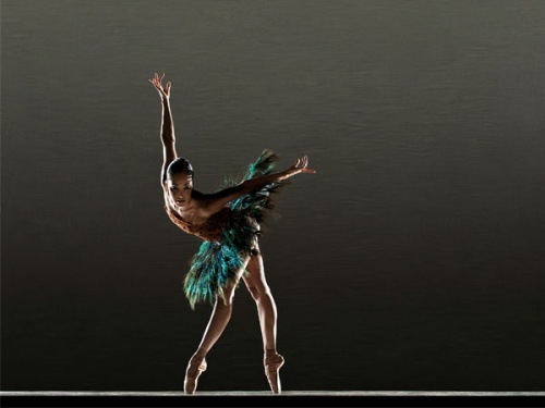 03/06/2012 – Caroline Rocher | Dansecyclopedie